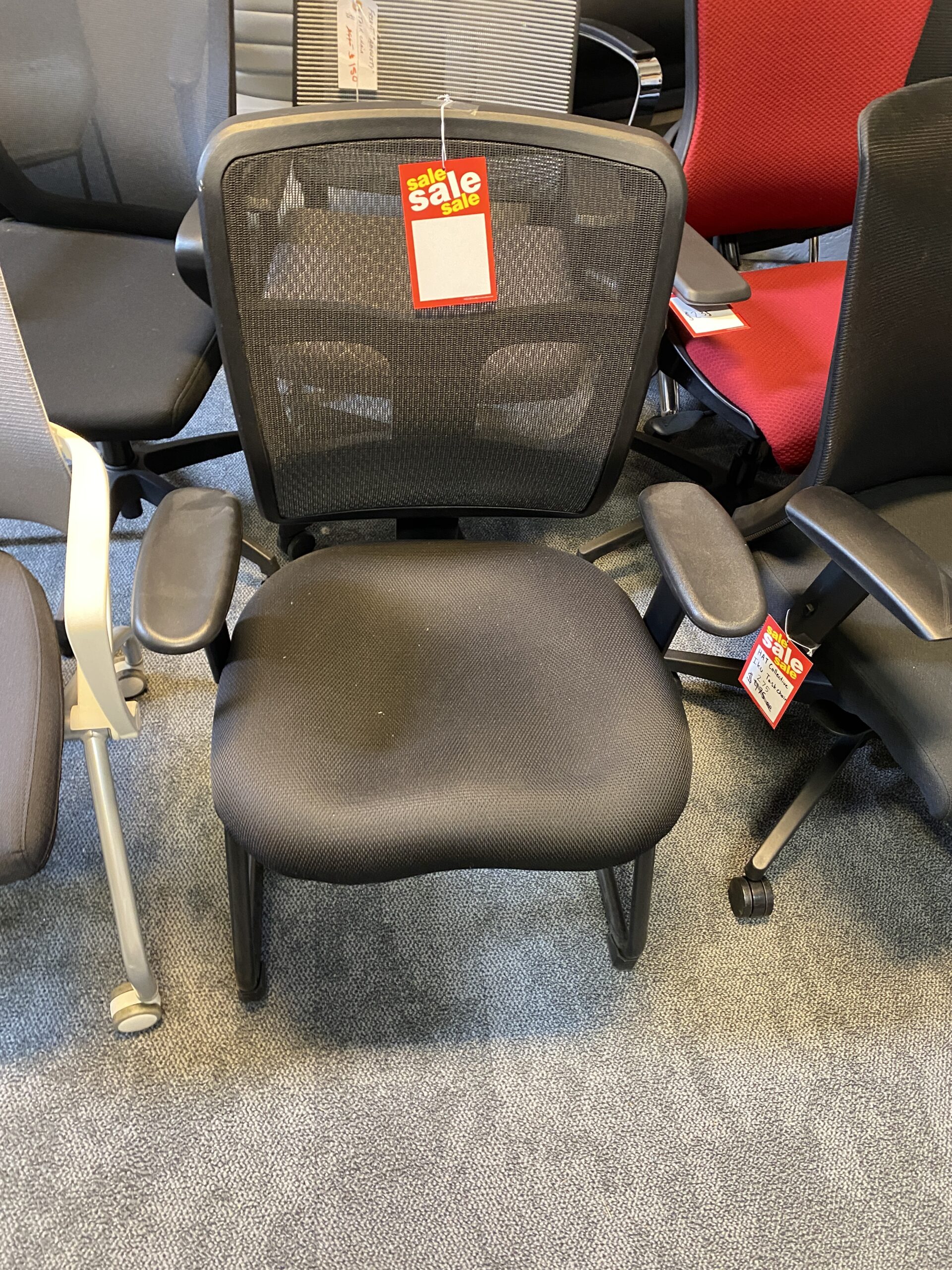sled base task chair - Bay Area Office Solutions
